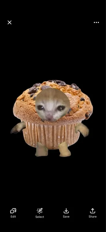 Throne | Muffin Munch ASMR | My Wishlist