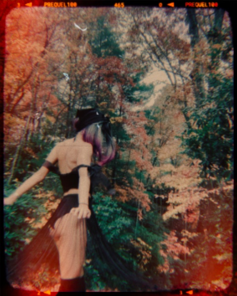 Throne | Kitty_Whispers | My Wishlist