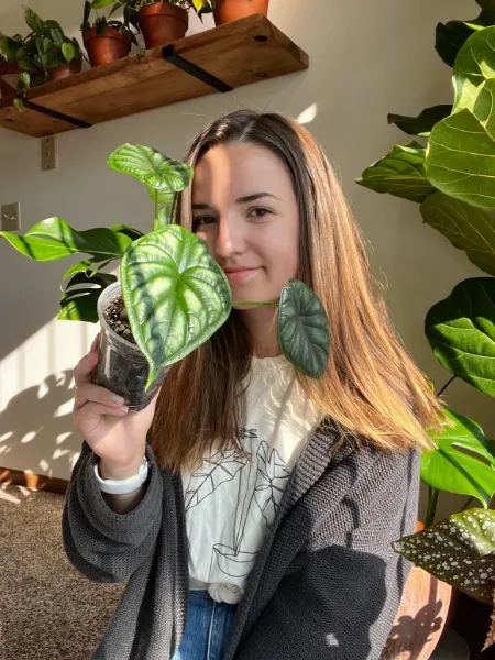 Throne | Taylor Whitney | Storefront