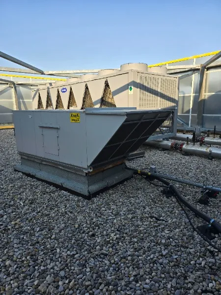 Throne | Brynn Lewis | Gifters