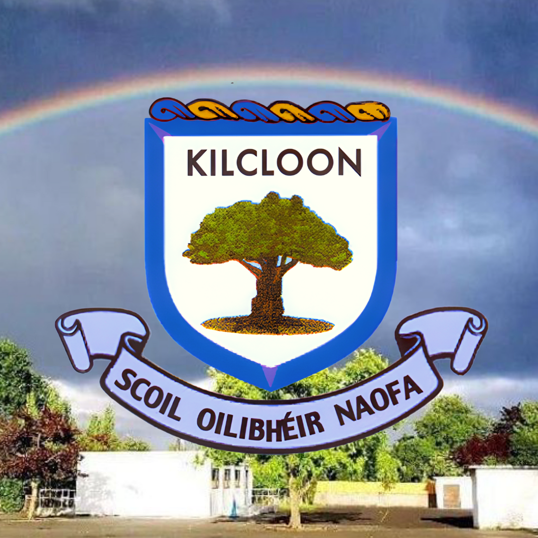 Throne | Kilcloon National School 2024 Fundraiser | My Wishlist