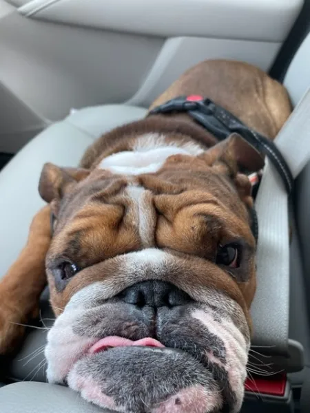 Throne | The Wishlist for Creators | Throne Gifts