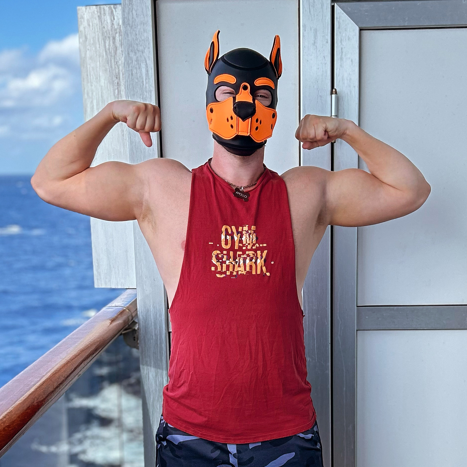 Throne | Pup Apollo | My Wishlist