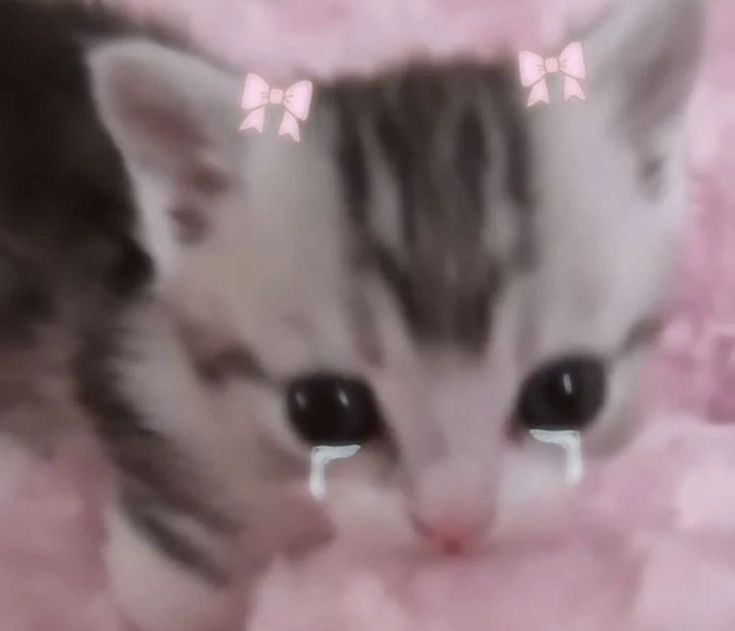 Throne | MISORI | My Wishlist