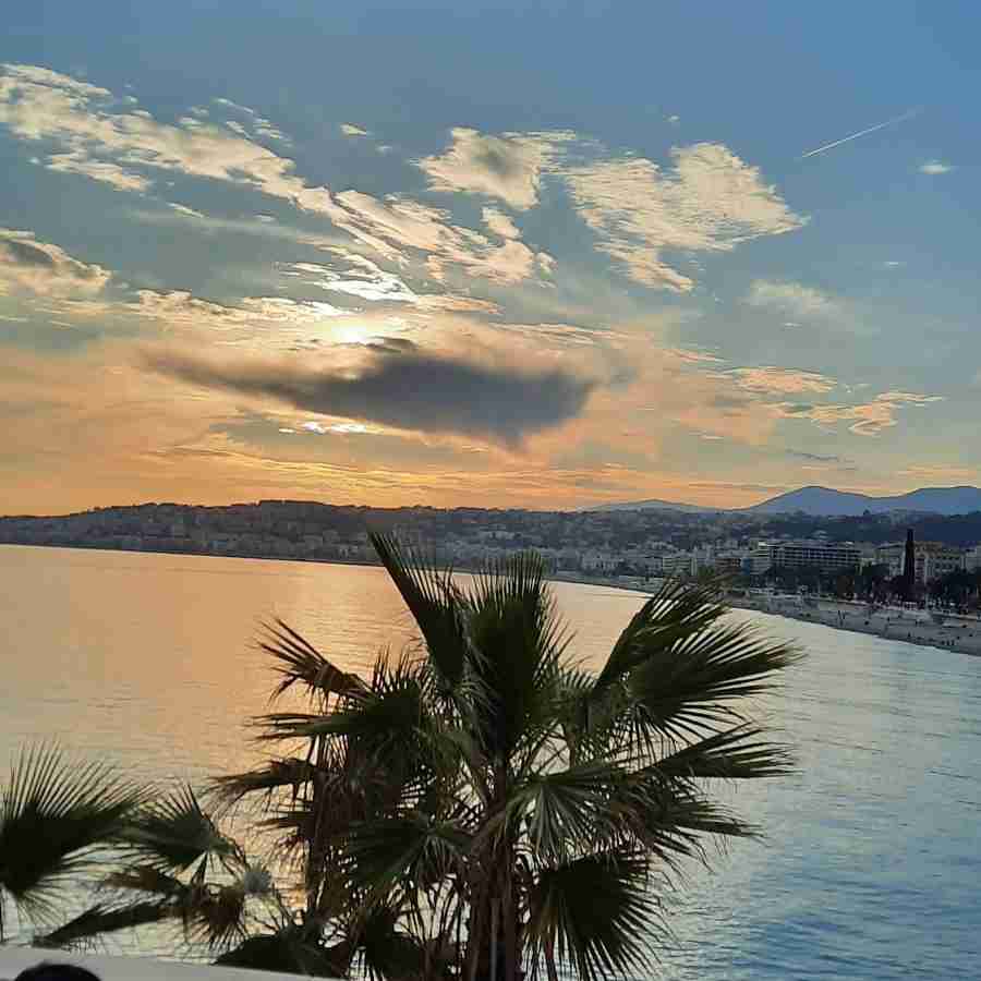 Throne | Elsa.diy | My Wishlist