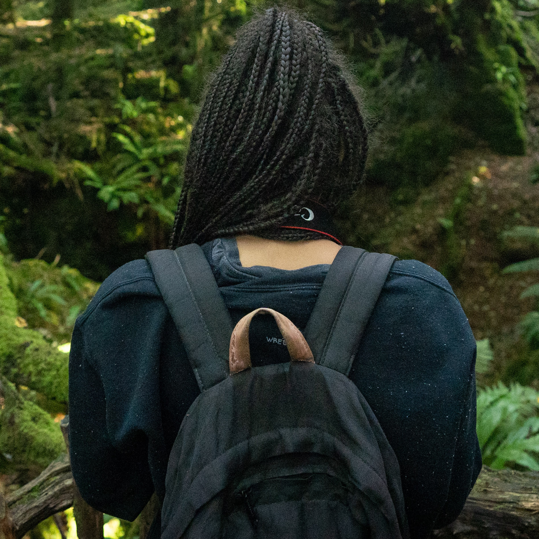 Throne | Harley Bee | My Wishlist