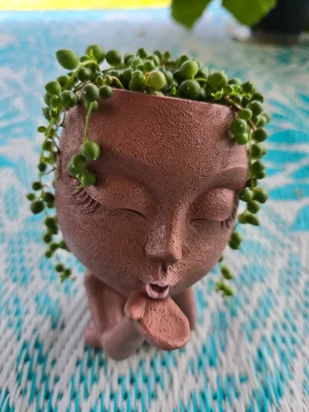 Throne | Molly | My Wishlist