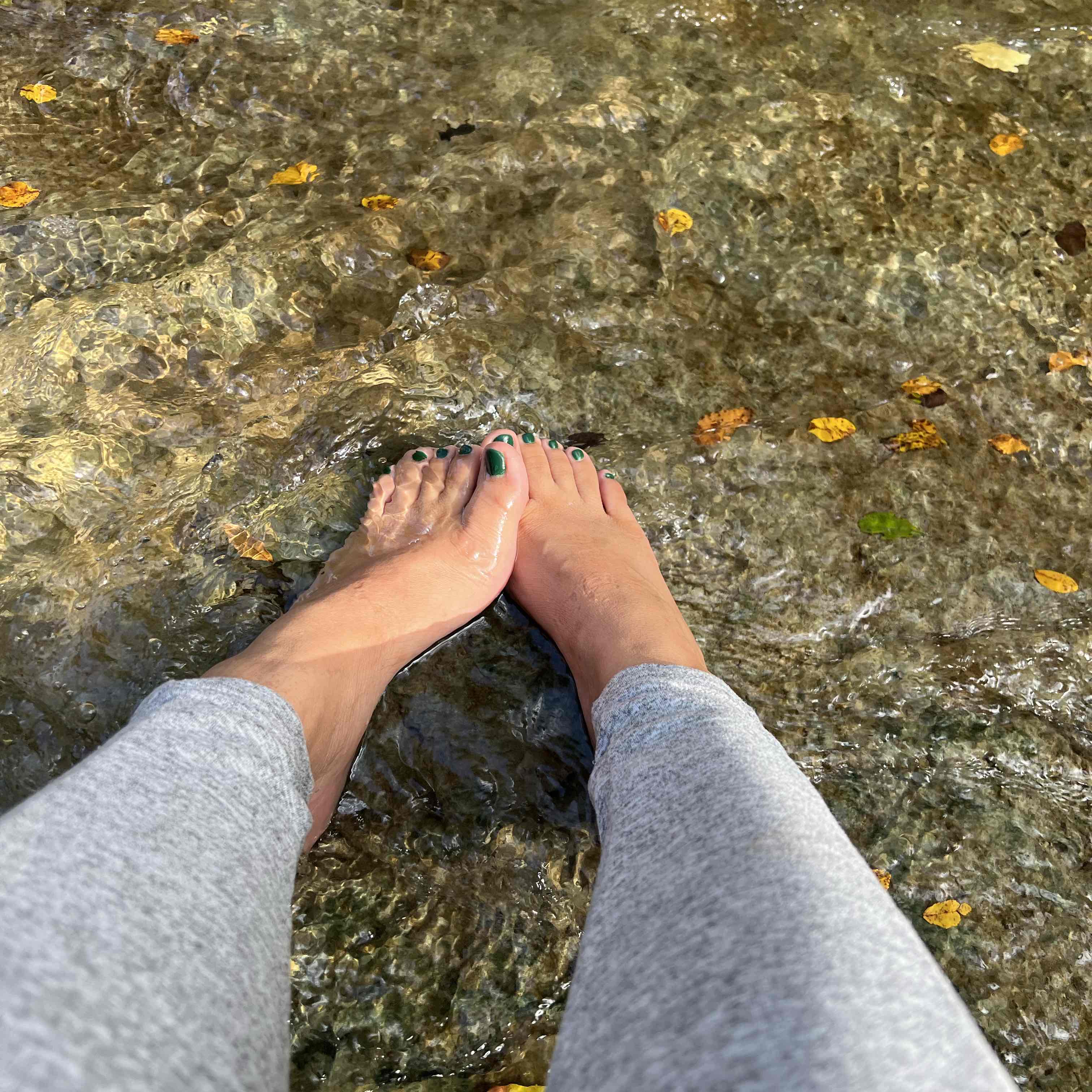 Throne | The Wishlist for Creators | Throne Gifts