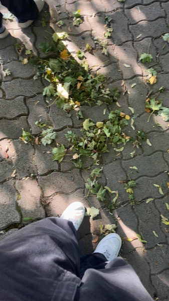 Throne | Mia | My Wishlist