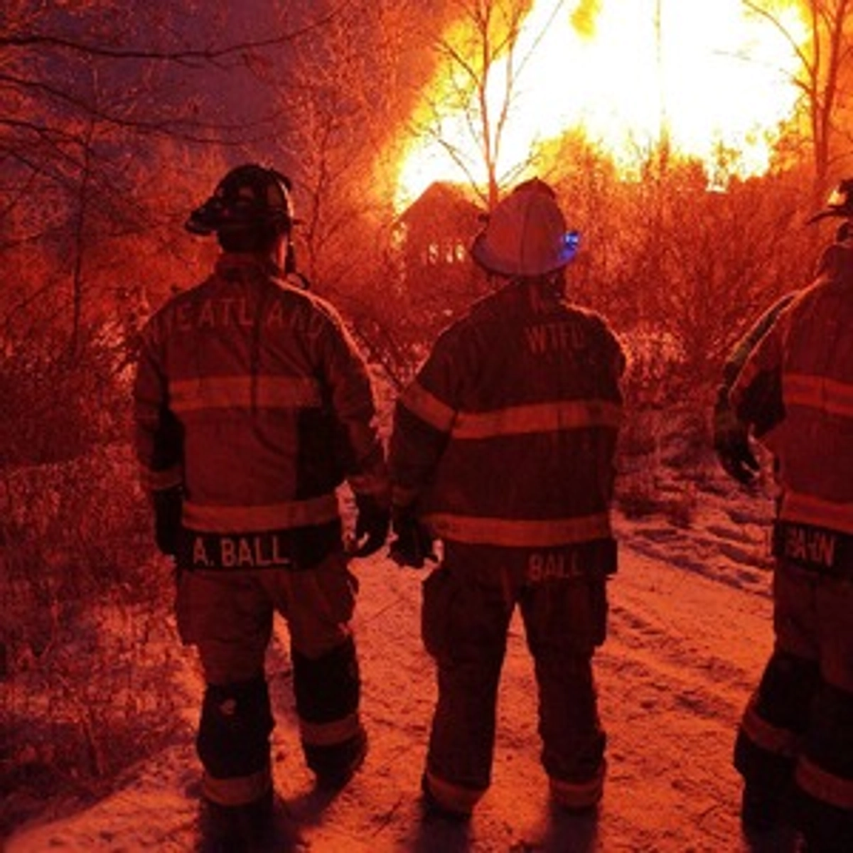 Throne | Andrew ball | My Wishlist