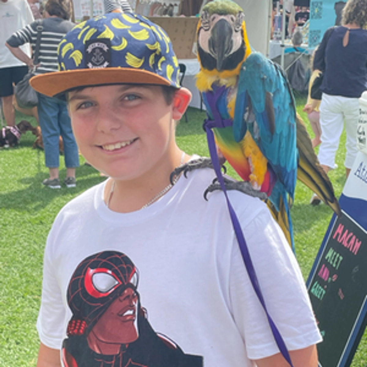 Throne | Aussie_fuzzy_buzzy256 | My Wishlist