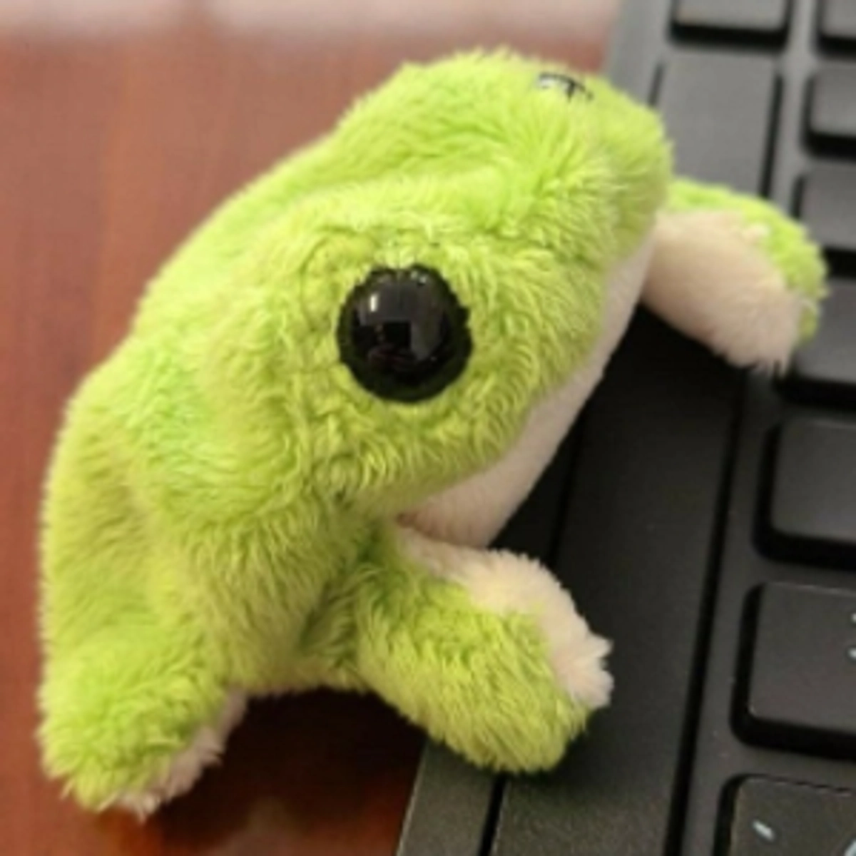 Throne | Rhythm_Rogue | My Wishlist