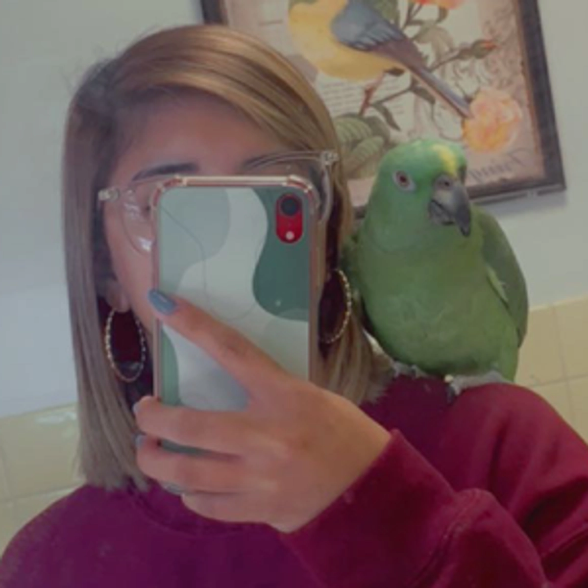 Throne | Ari | Gifters