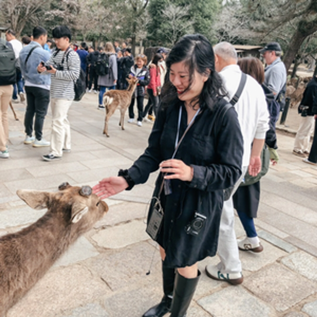 Throne | Winnie | Storefront