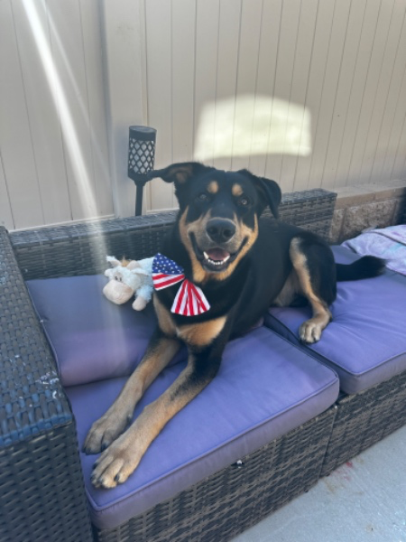 Throne | Ashley | My Wishlist