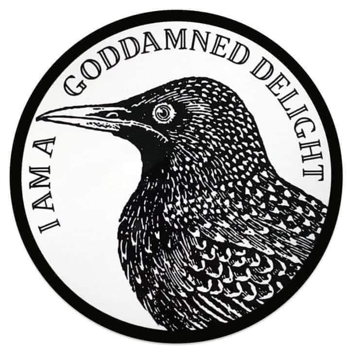 Throne | Miles OToole Audio | My Wishlist