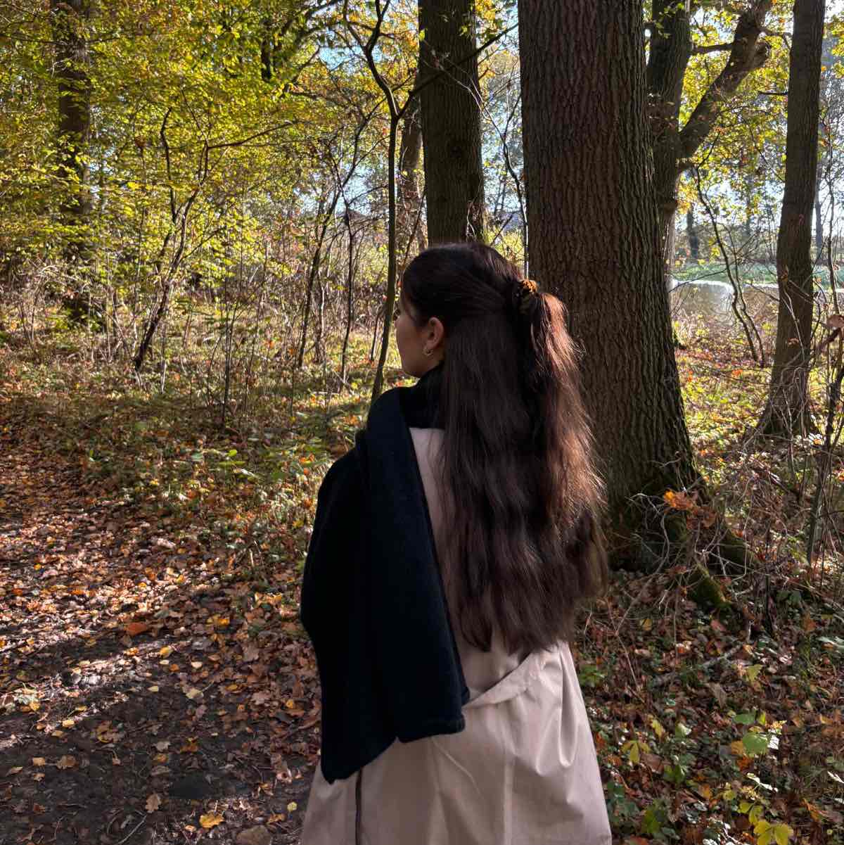 Throne | Sara | My Wishlist