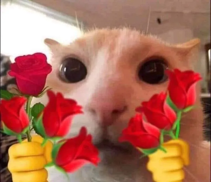 Throne | Rin | Sanrio Stuffs