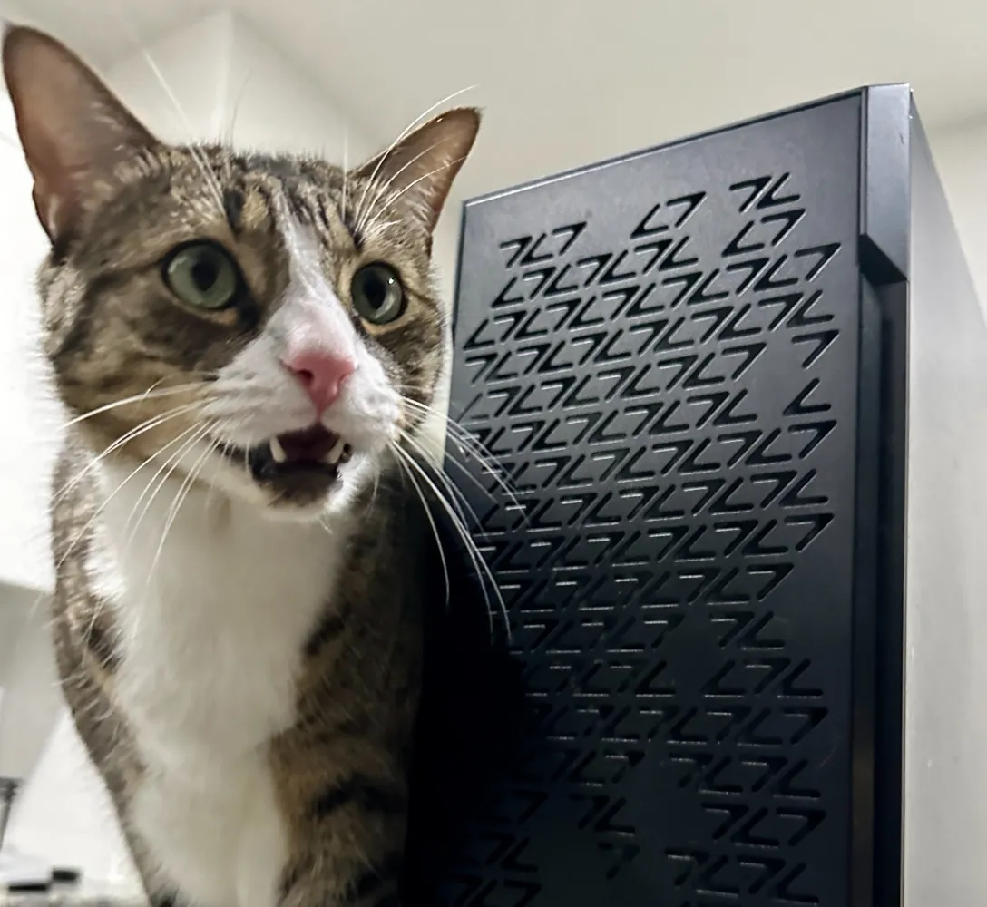 Throne | Raymartinee | Stream Upgrades