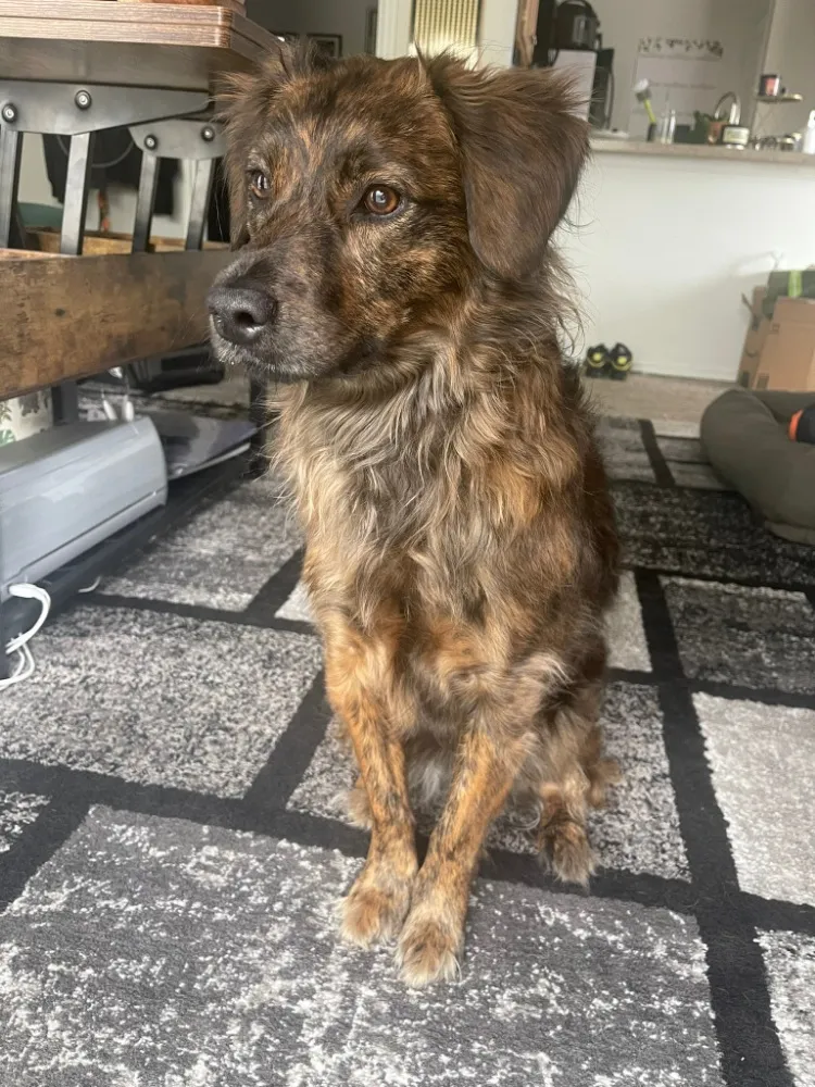 Throne | RIPmika | House Things