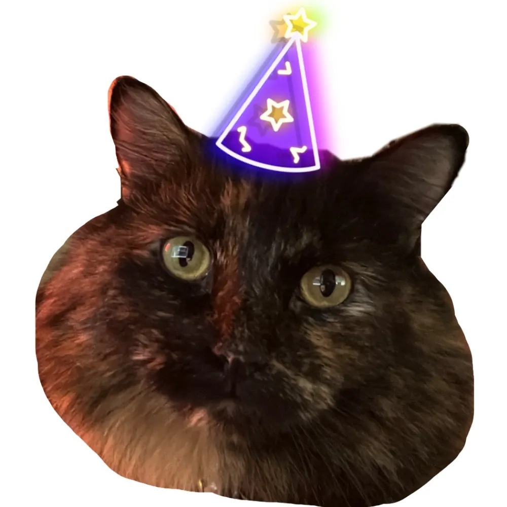 Throne | Mountain Lotus | Kitty Stuff