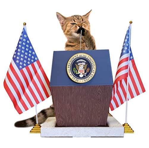 Throne | Deru | LA LA CAT Presidential Podium Cat Scratcher | Cute Cat ...