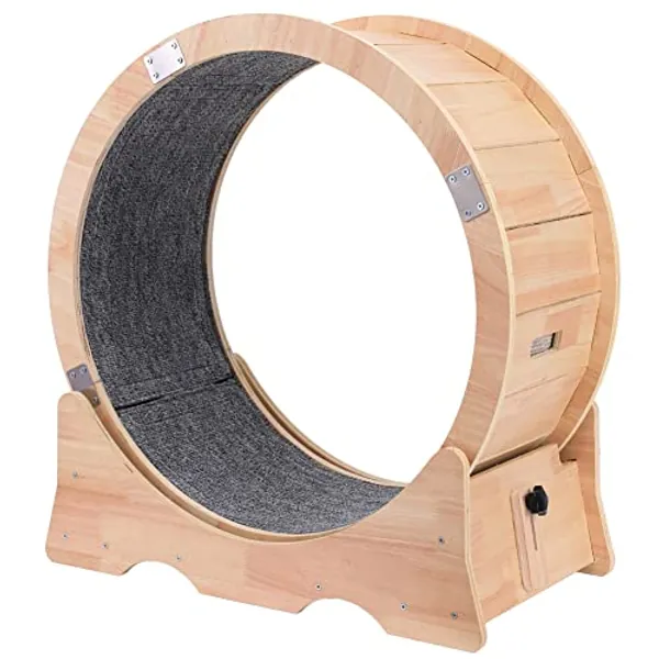 Throne | LTMFL | Cat Wheel, Cat Treadmill, Exercise Wheel, Cute Cat ...