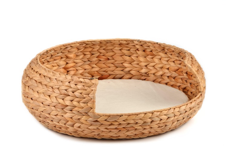 Throne | Divvity | My Wishlist