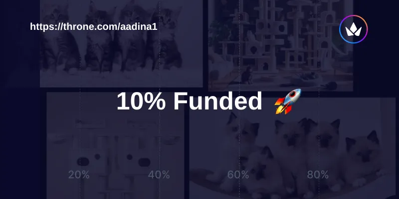 Throne | Aadina1 | Build a pool - streaming